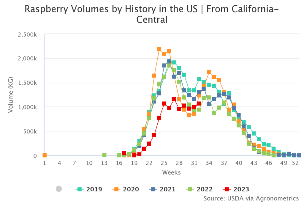 Raspberry prices witness a 23% dip in week 33