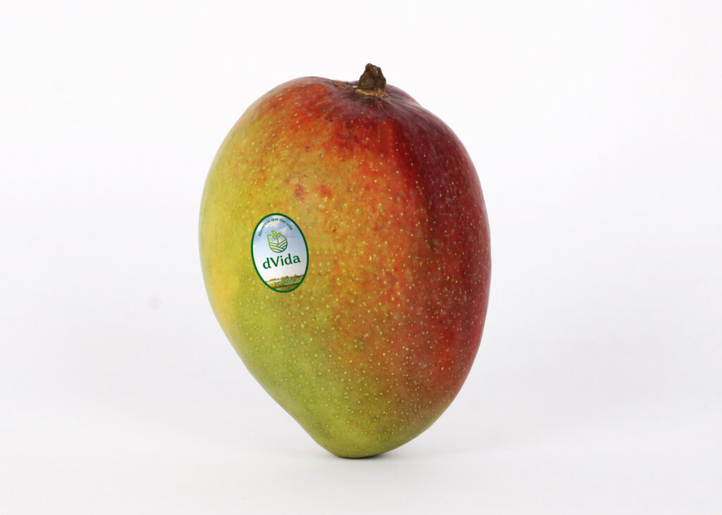 dVida: Fresh products from Ecuador