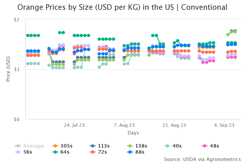 U.S. market faces reduced orange crop