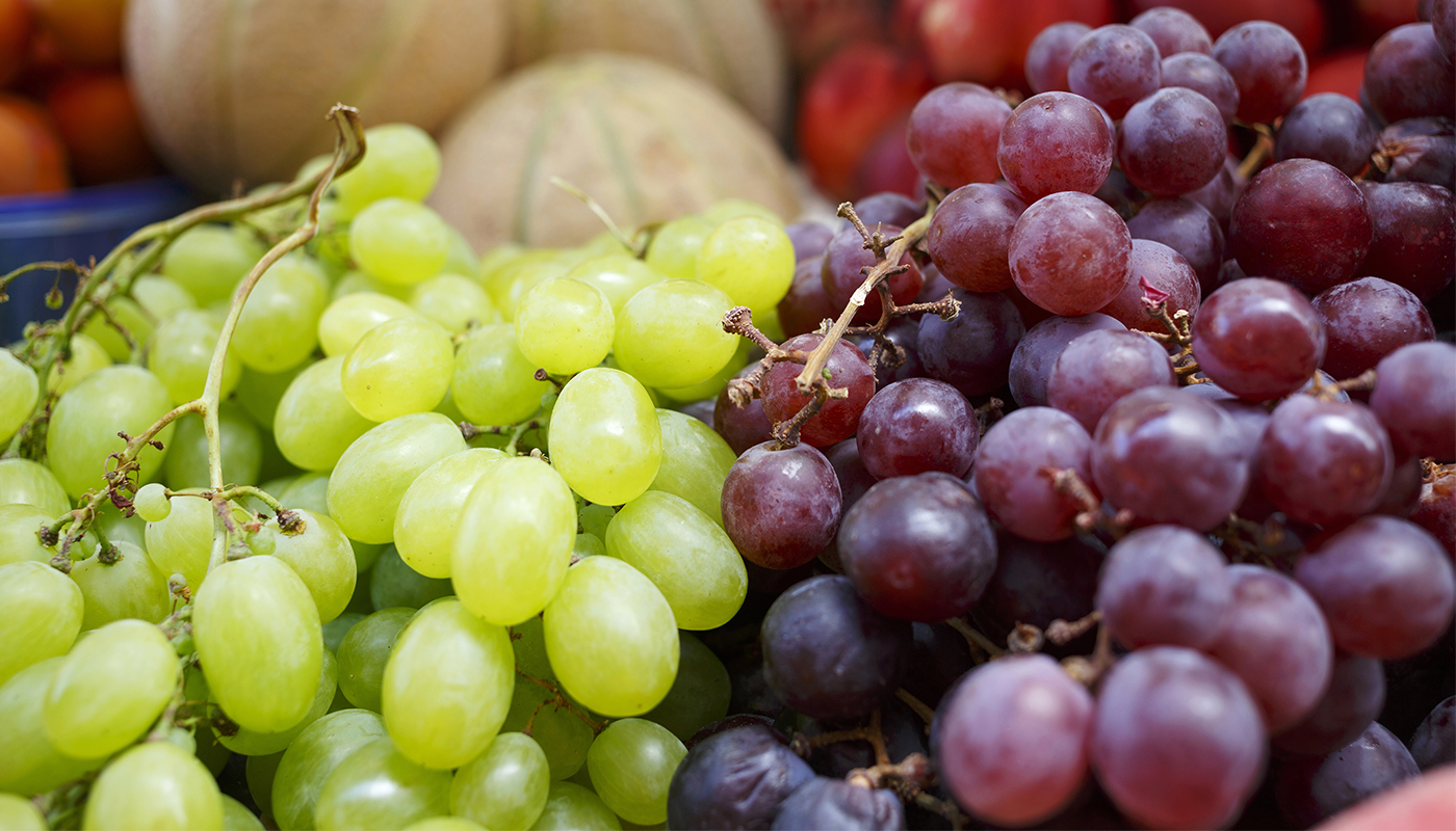 Chilean table grape exports project 5% uptick for 2023-24