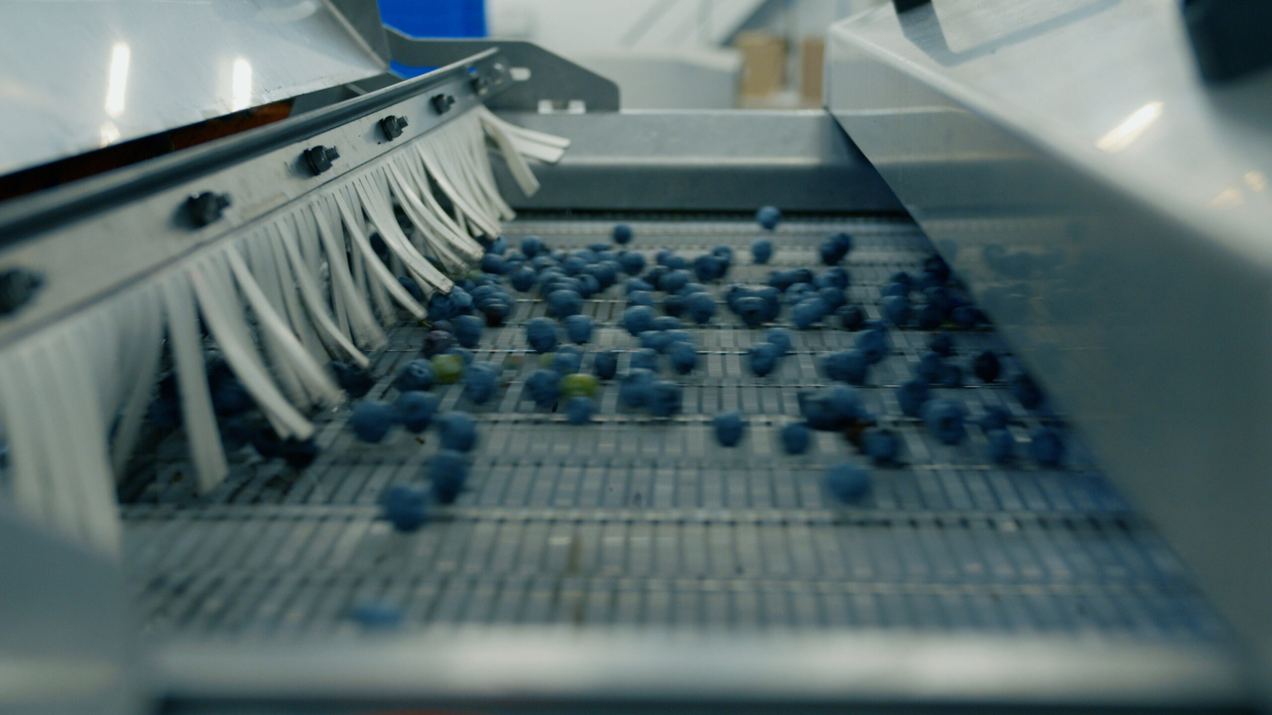 TOMRA FOOD reveals new, AI-powered fruit sorting and grading