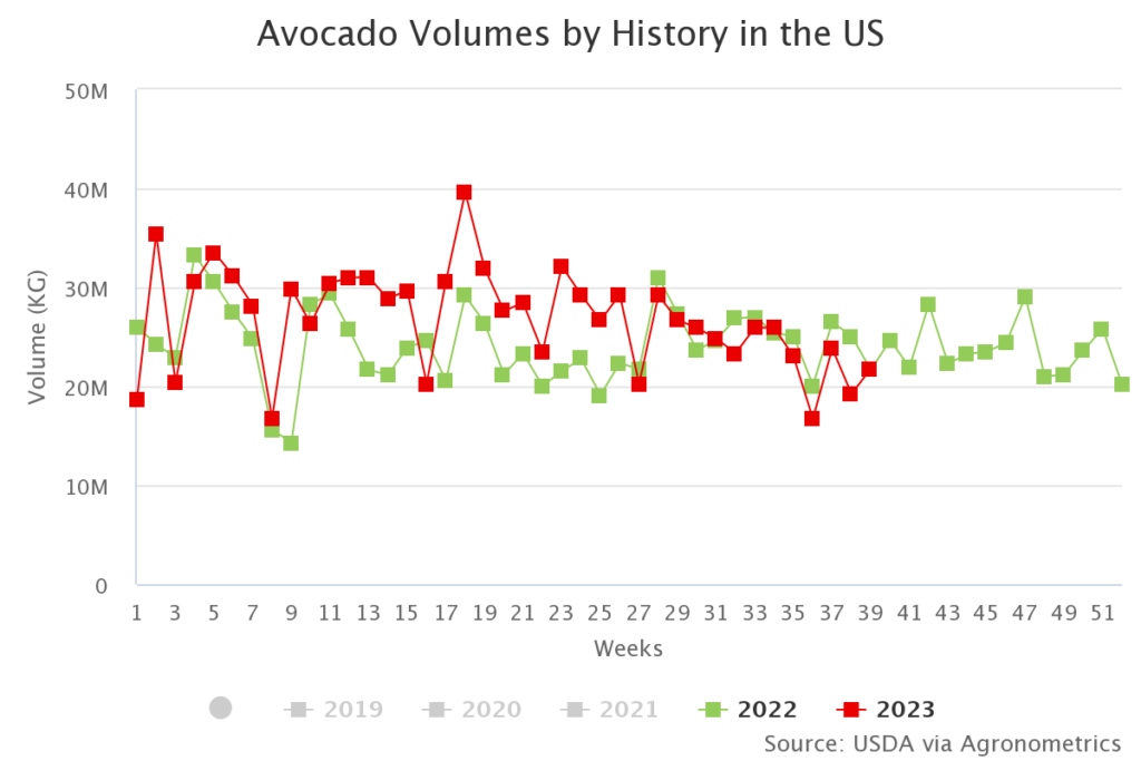 Flor Loca crop fuels an abundant supply of avocados to the U.S.