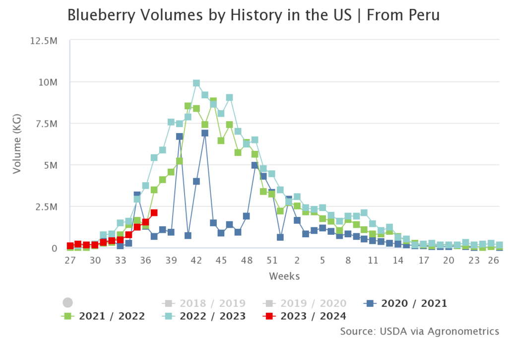 Peruvian blueberry export volumes face a 50% decline
