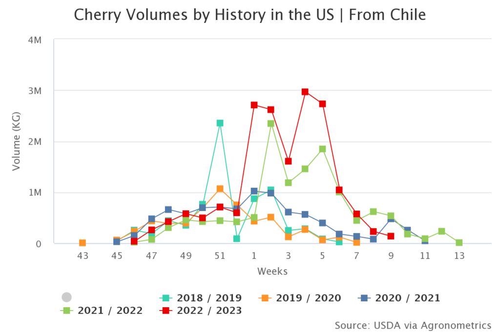 Chilean cherry industry gears up for a record-breaking season