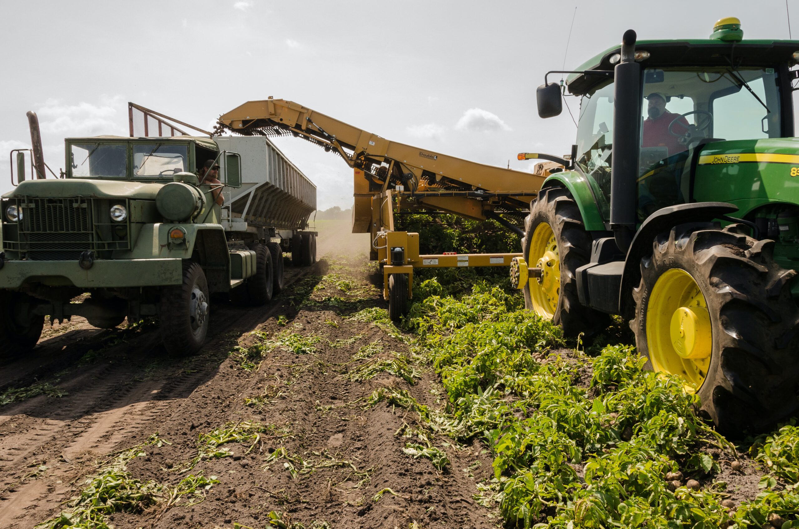 Looking ahead at the effects of climate on Peruvian produce