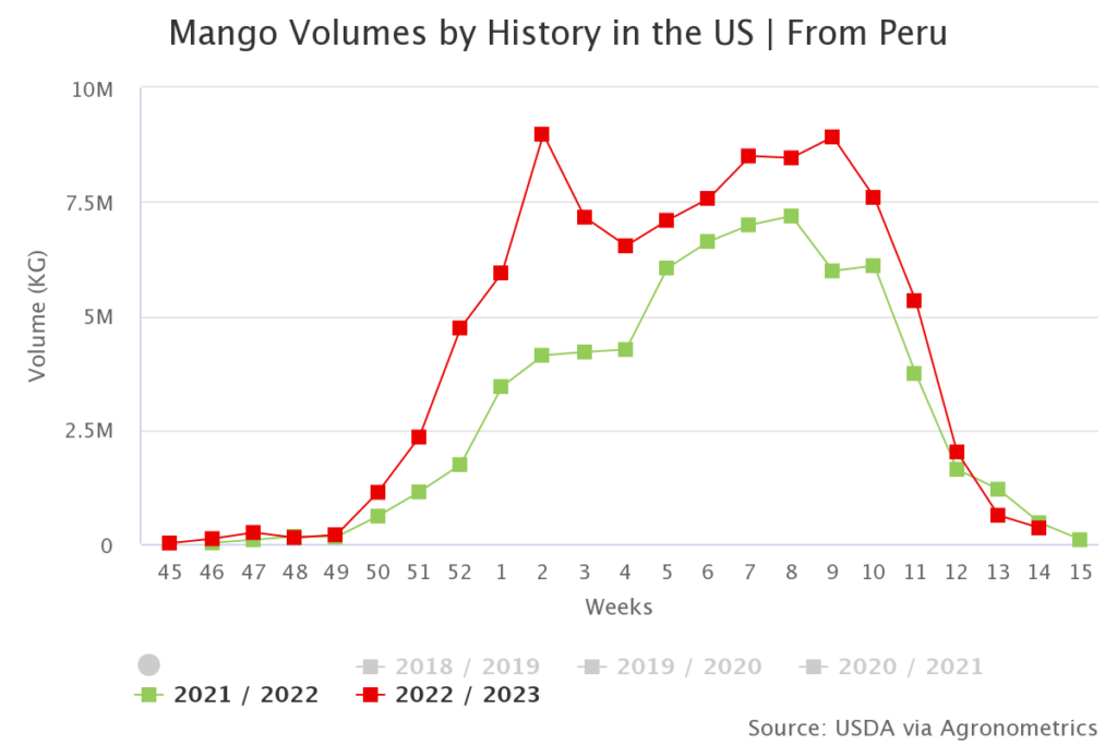 Unprecedented decline in volume for Peruvian mango season