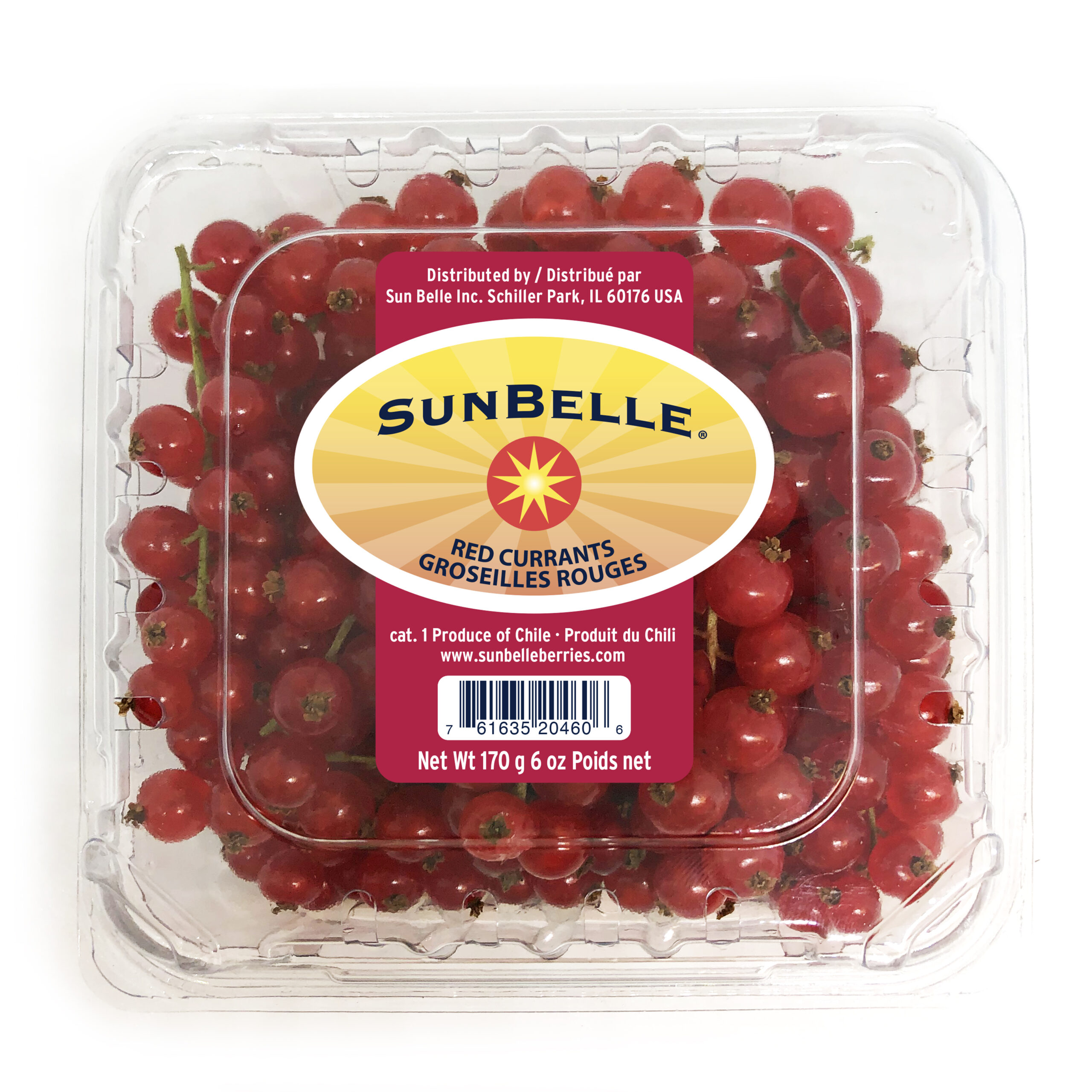 Sun Belle announces availability of seasonal red currants