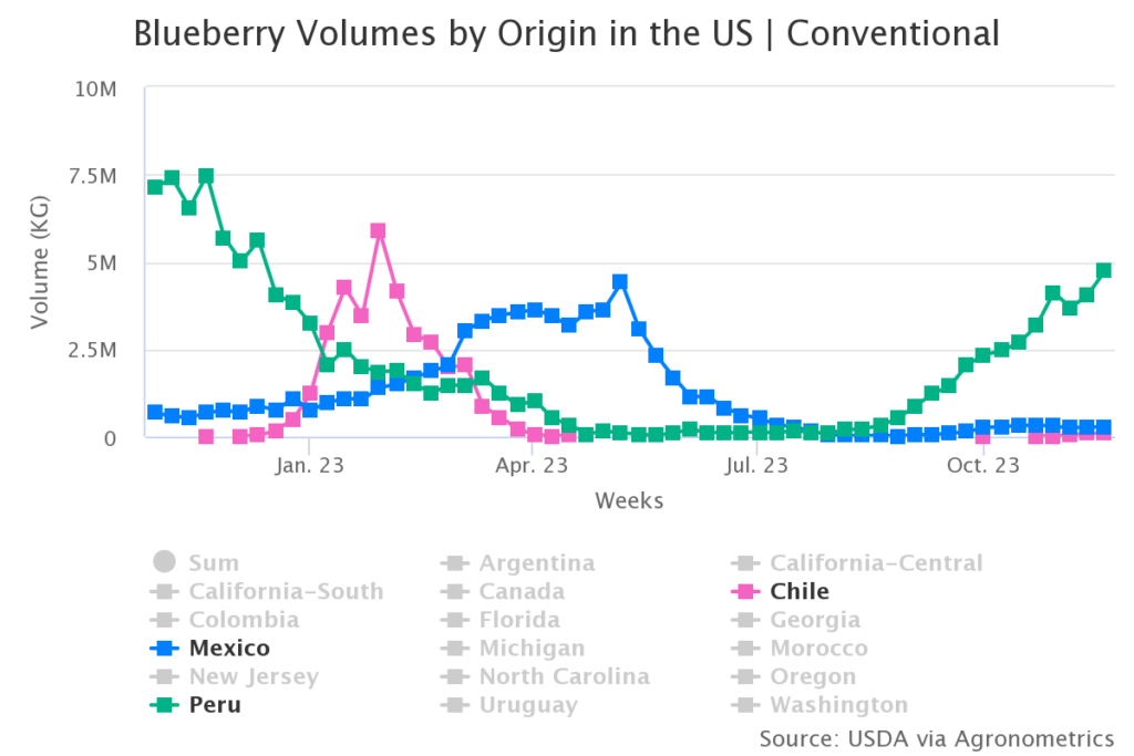 Adverse weather takes a toll on Chilean blueberry production