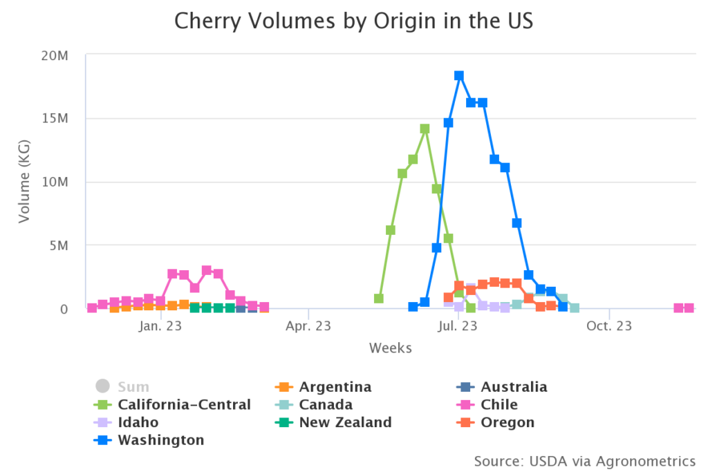 Chilean cherry season fraught with challenges