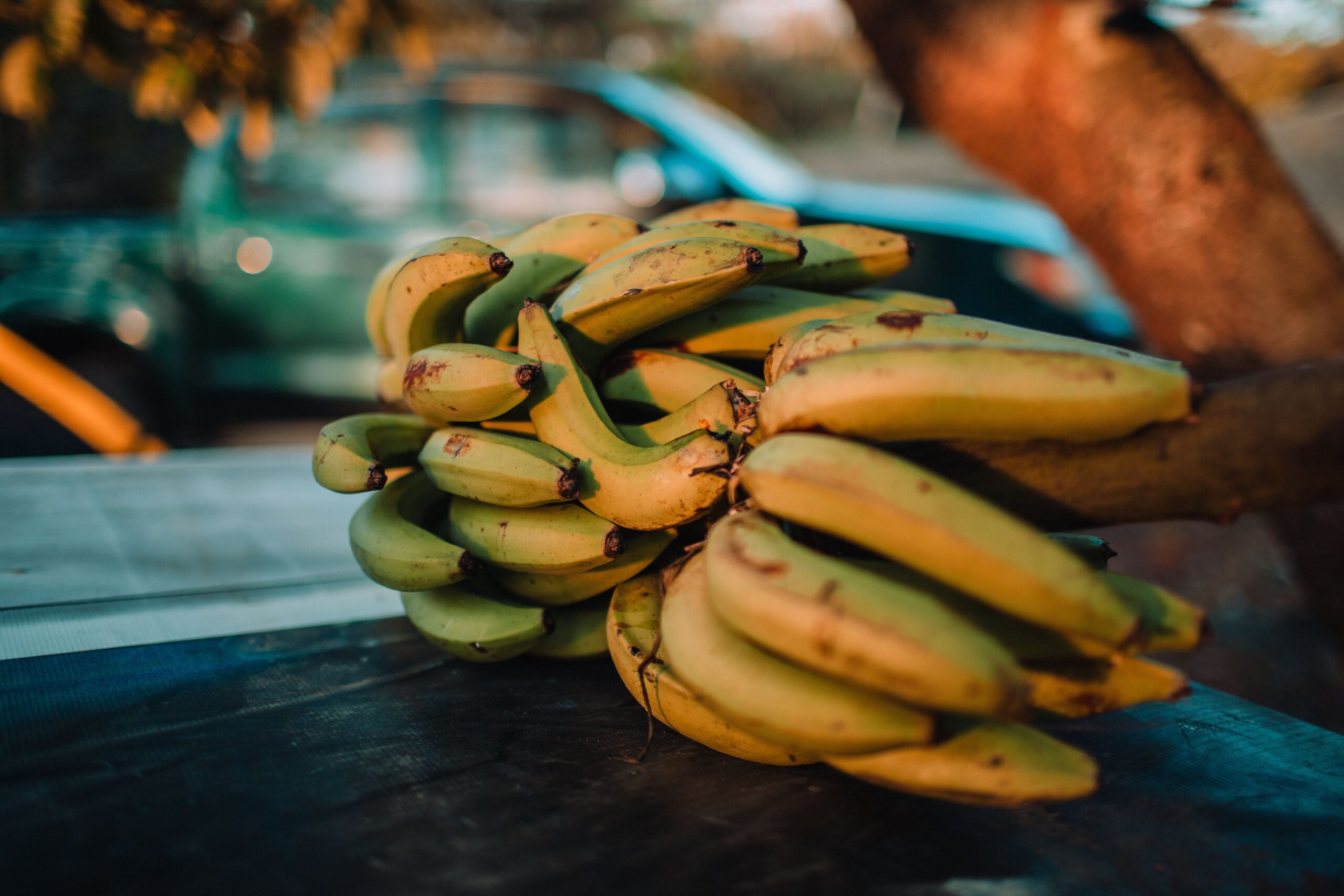 Ecuadorian banana exports regain steam in 2023