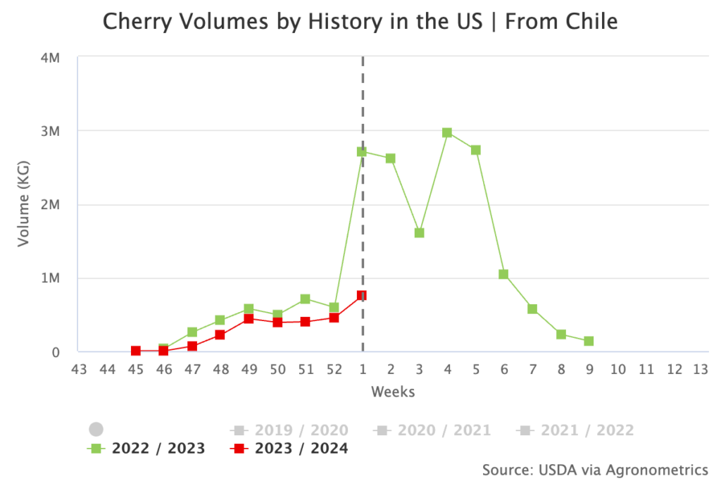 Chilean cherry prices up
