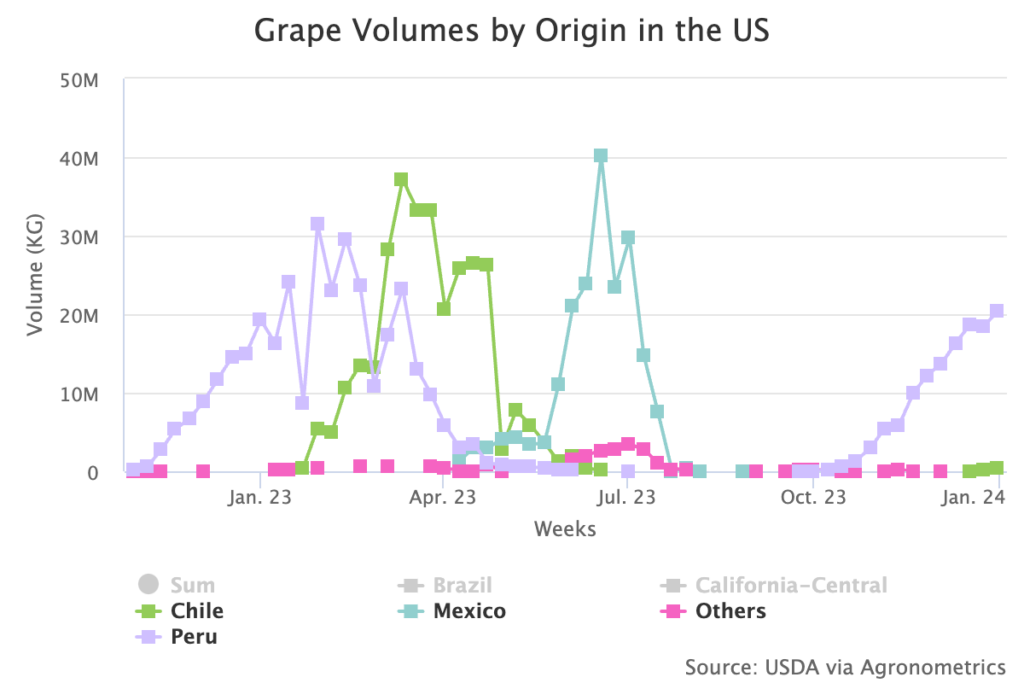 Peru now leads the global table grape market