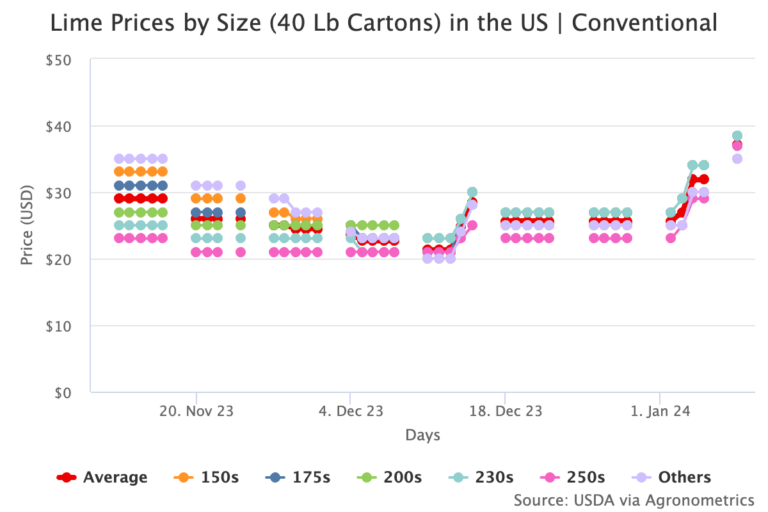 Lime prices on the rise in the U.S. market