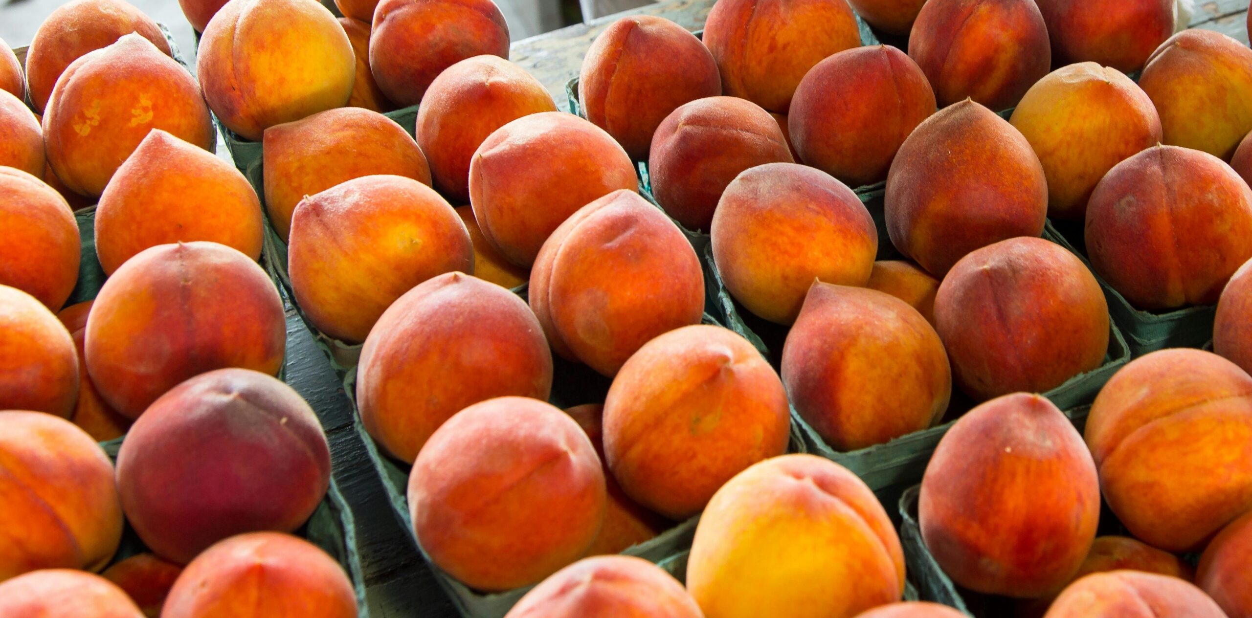 Montague projects strong Australian stone fruit season