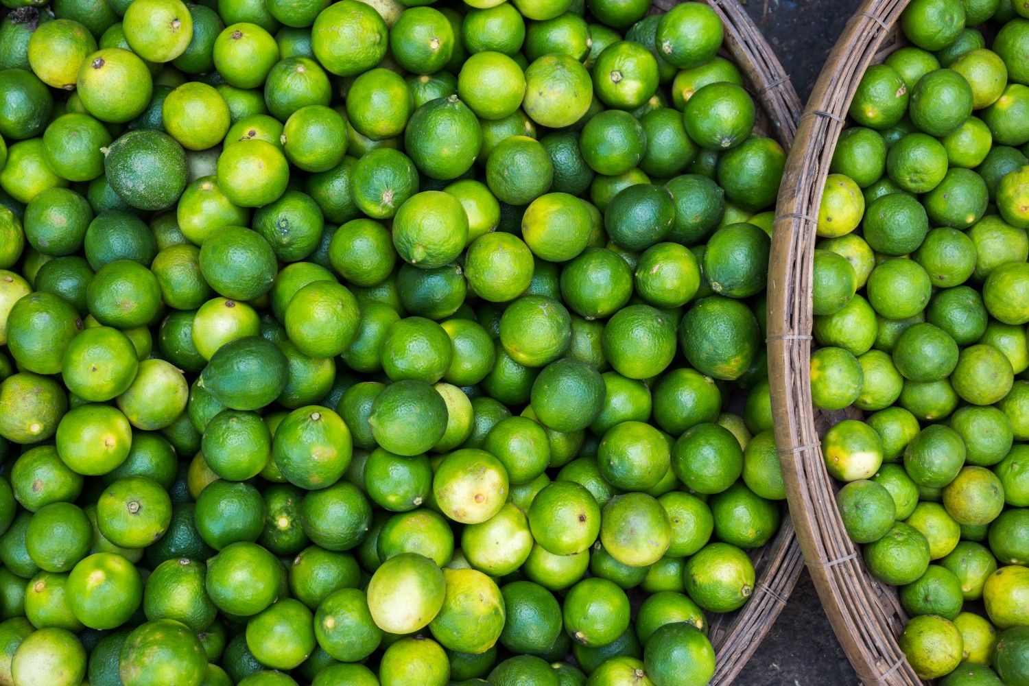Colombian limes find opportunity as Mexico winds down