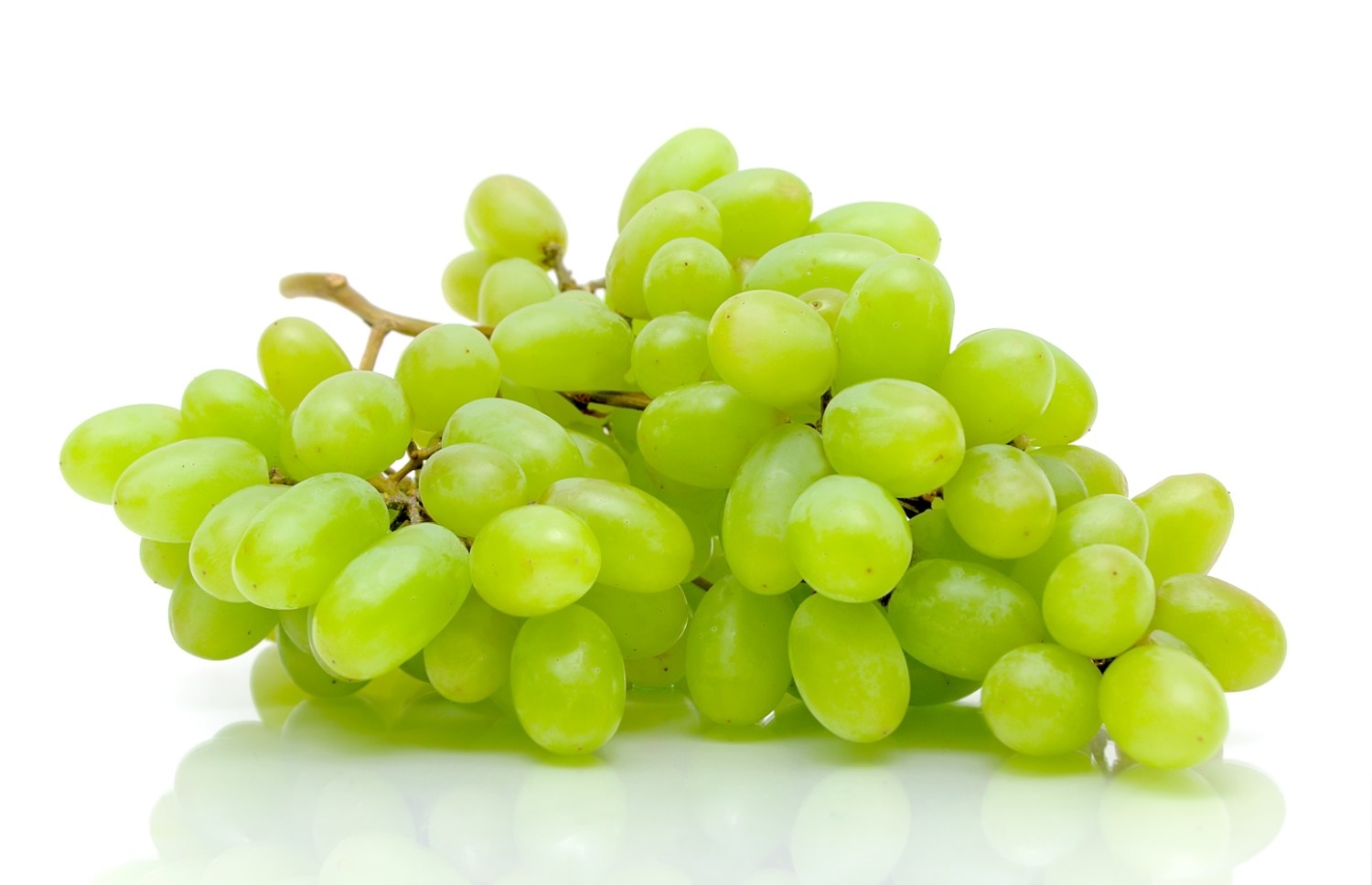 Early season for Indian grapes with higher export volumes