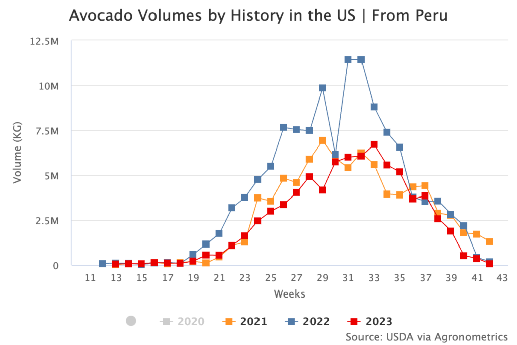 Peruvian avocado industry navigating a complex landscape