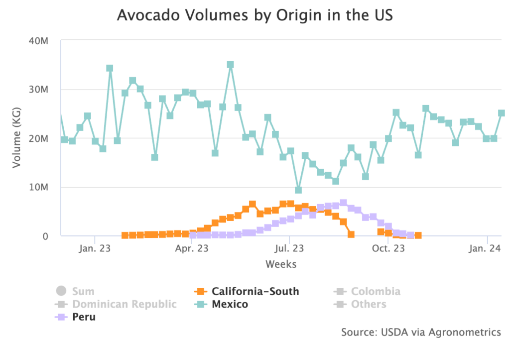 Peruvian avocado industry navigating a complex landscape