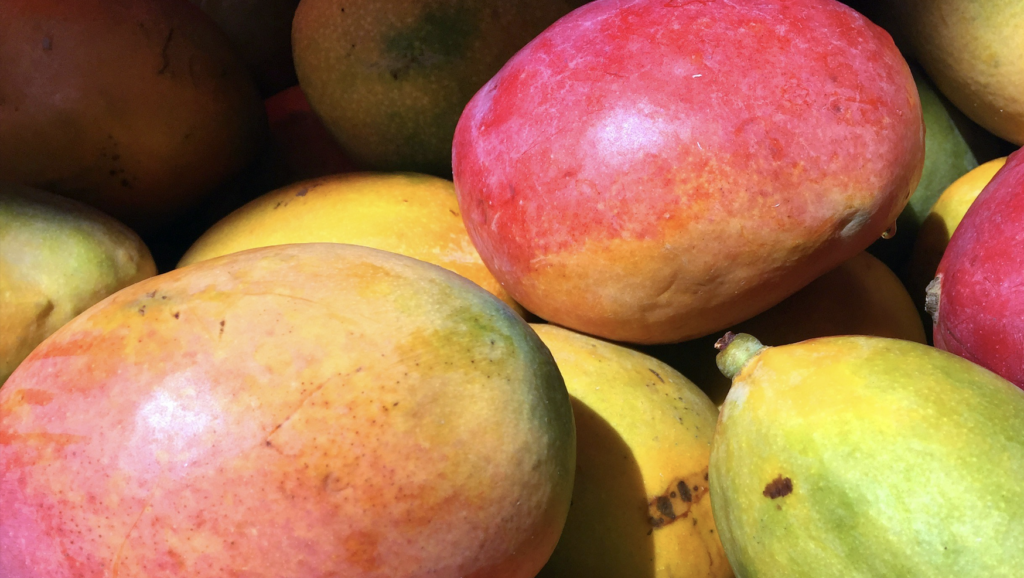 Import volume remains low in United States mango market