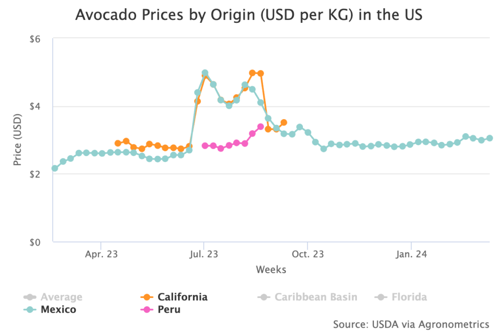 Peruvian avocados projected to command premiums