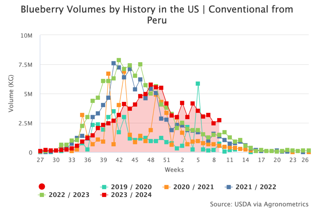 Peruvian blueberry export outlook remains strong - USDA