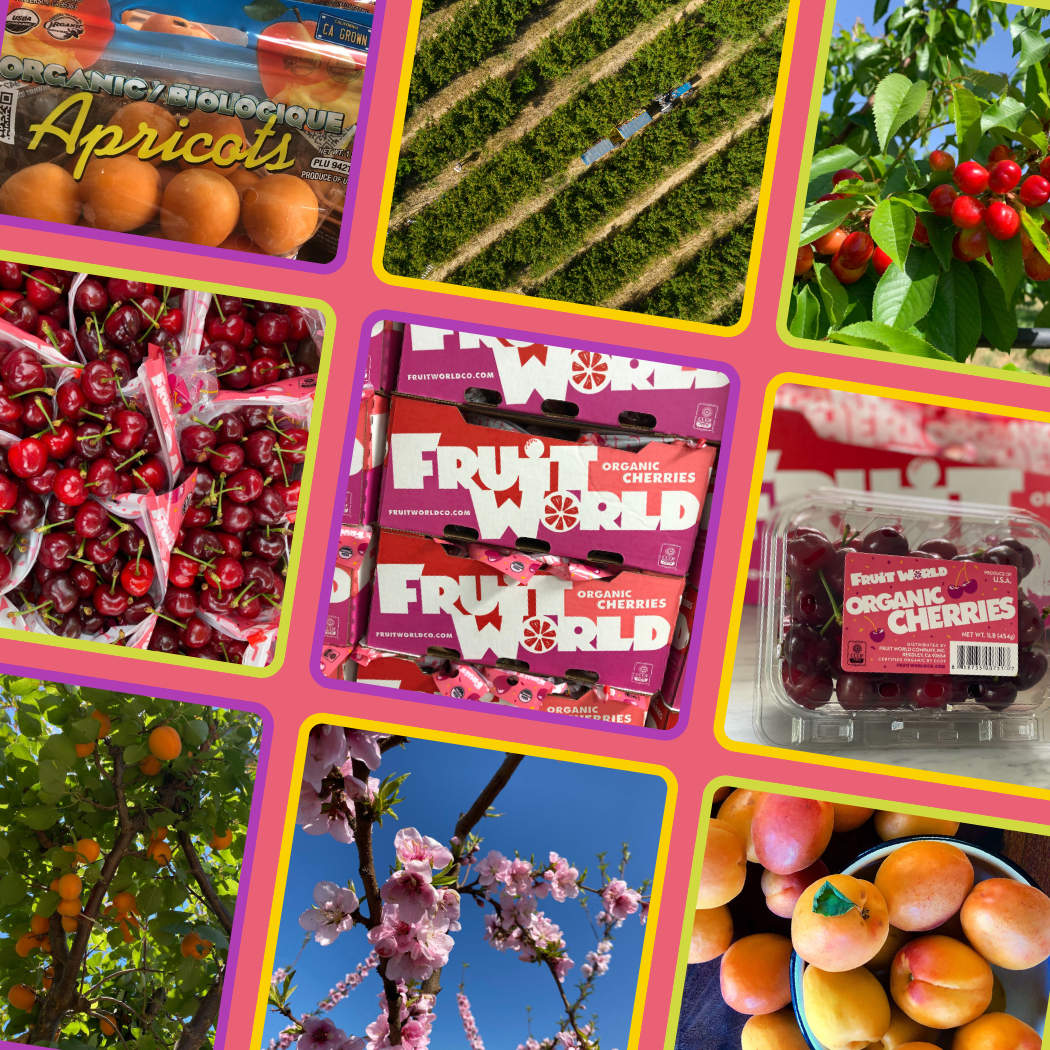 Fruit World kicks off stone fruit season in California