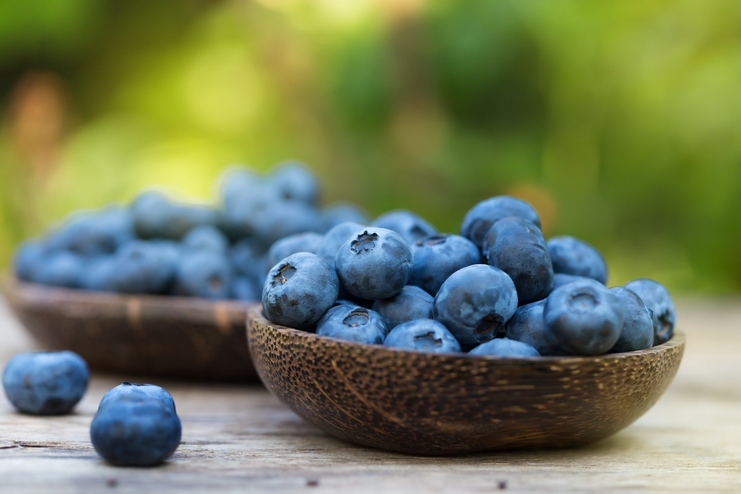 California blueberries gearing up for a better season
