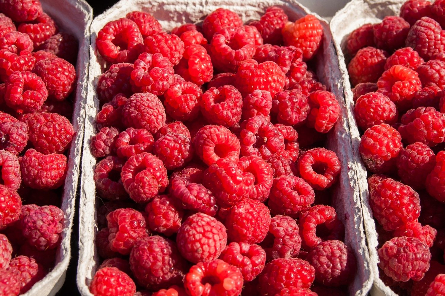 Raspberry volume fluctuation affects pricing in US market