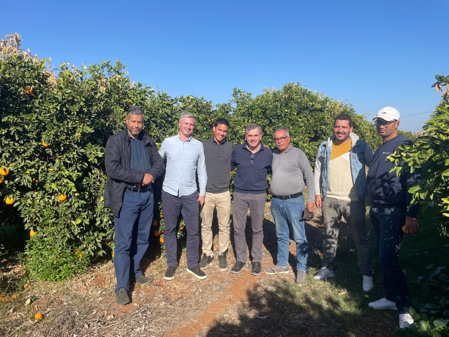 Drought in Morocco affects citrus size