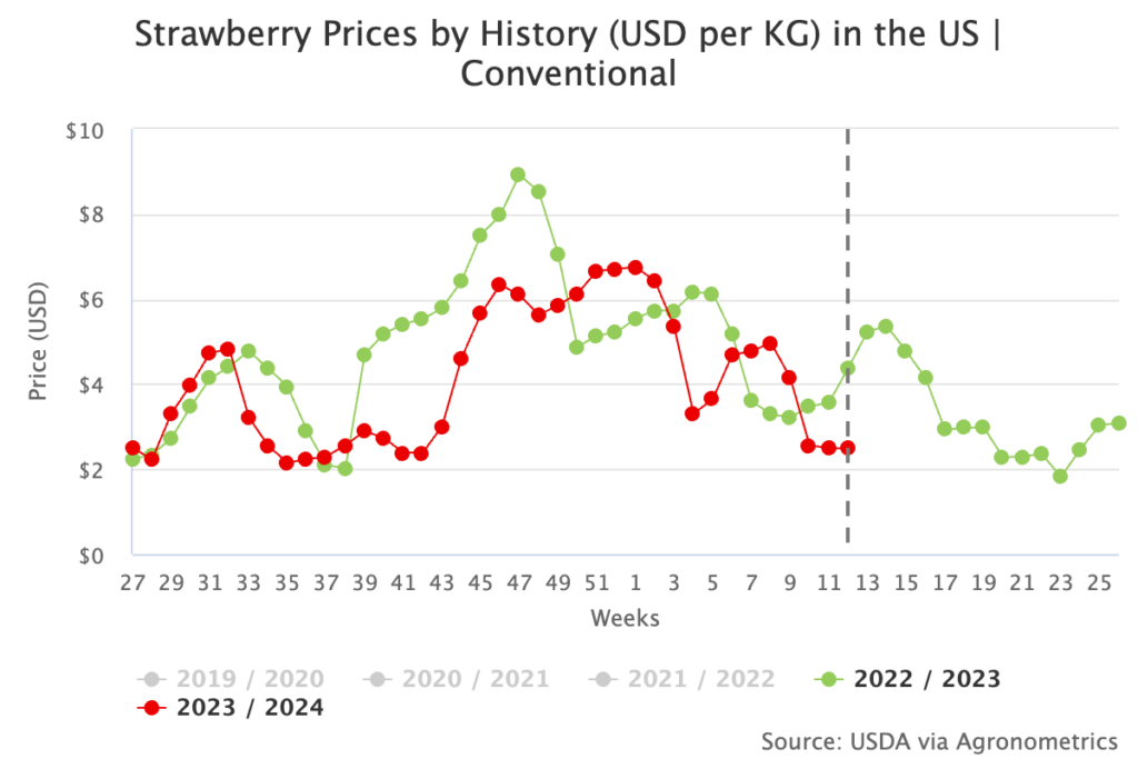A look at the current state of the U.S. strawberry market