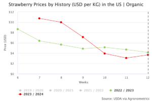 A look at the current state of the U.S. strawberry market