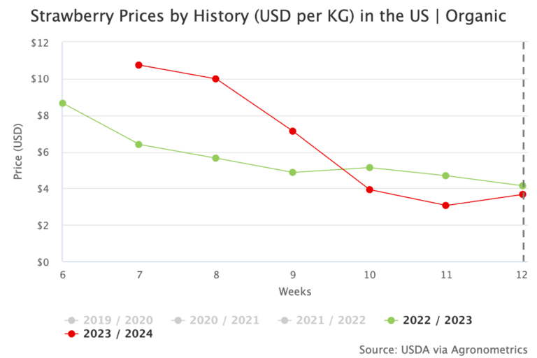A look at the current state of the U.S. strawberry market