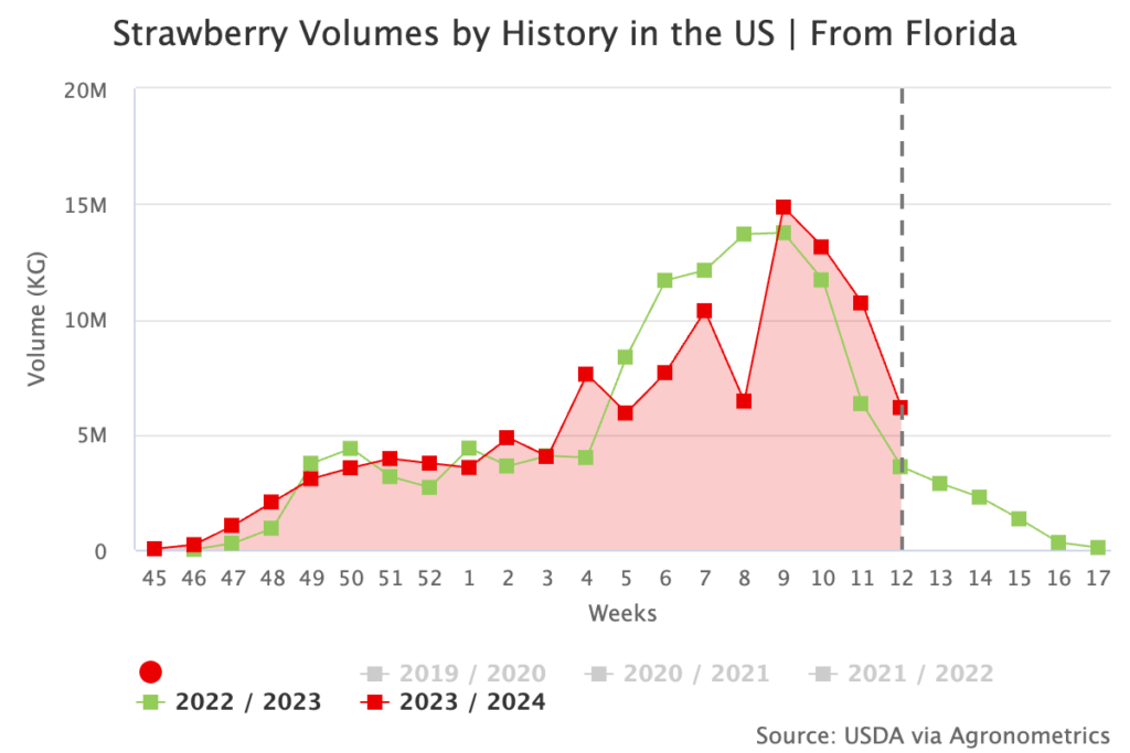 A look at the current state of the U.S. strawberry market