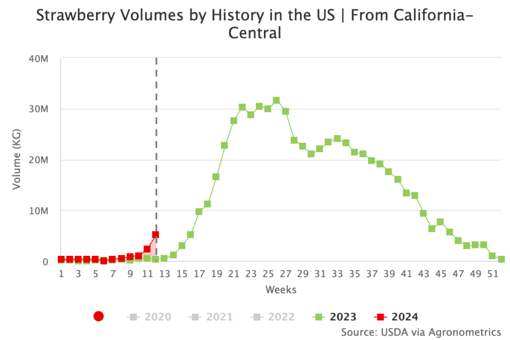 A look at the current state of the U.S. strawberry market