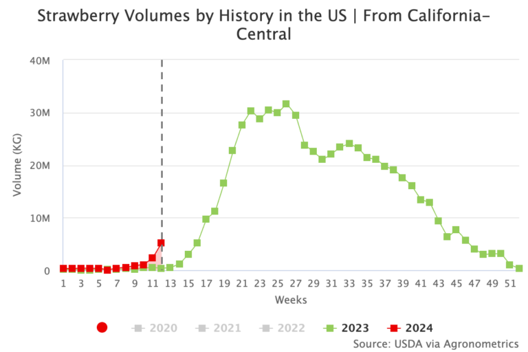 A look at the current state of the U.S. strawberry market