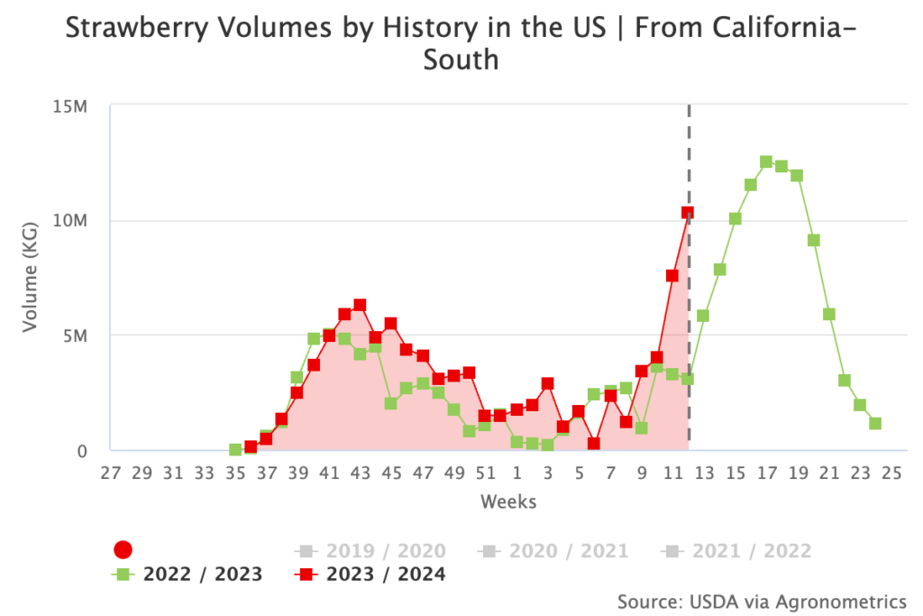 A look at the current state of the U.S. strawberry market