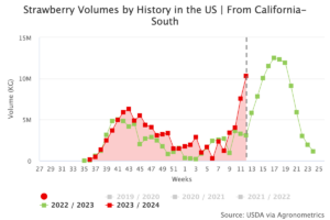 A look at the current state of the U.S. strawberry market