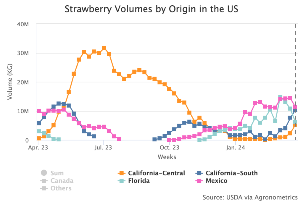 A look at the current state of the U.S. strawberry market