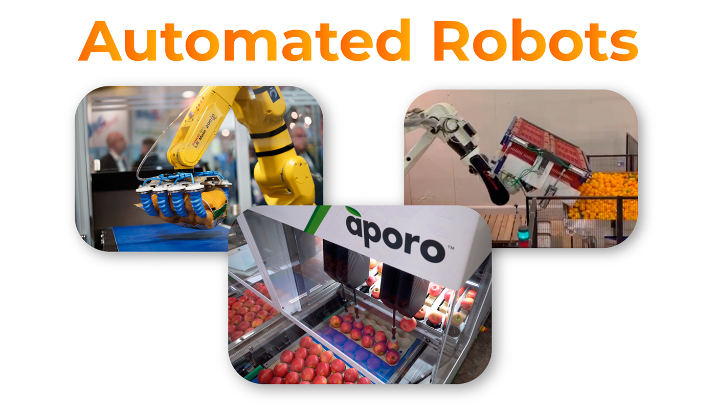 Three robots from Sorma for automation of post-harvest process