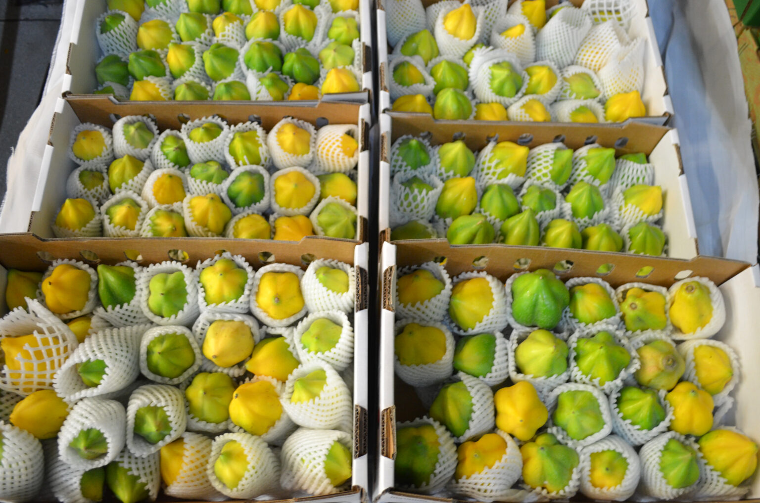 Mountain papaya: The new Chilean fruit now available in the US