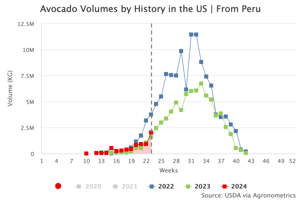 Peruvian avocado season sees reduced suplies
