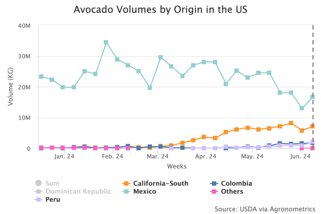 Peruvian avocado season sees reduced suplies