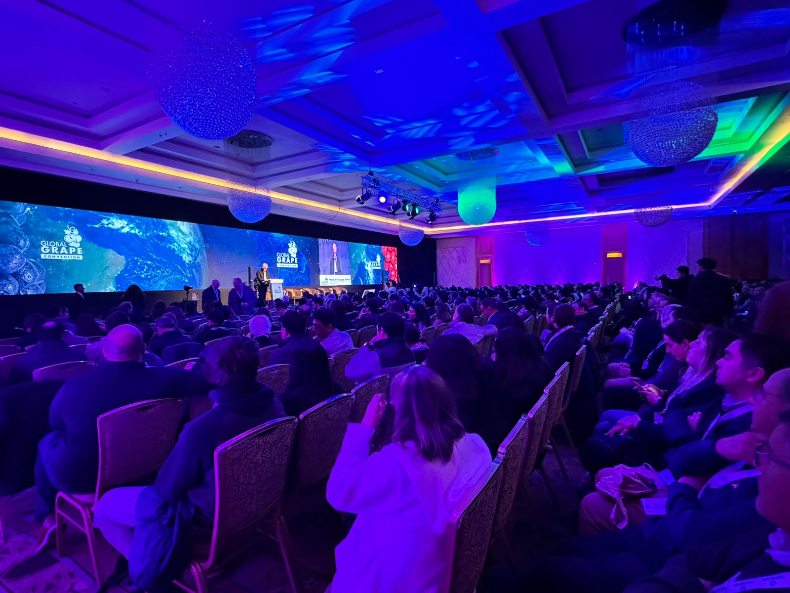 Global Grape Convention 2024: New paradigms for table grapes