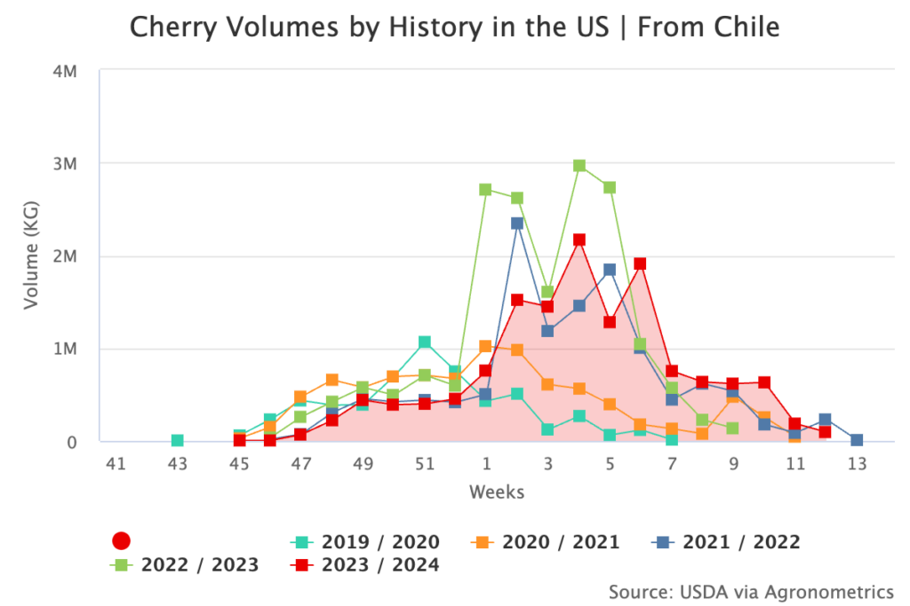 Chilean cherry production set for a 6.8% increase in 2024-25