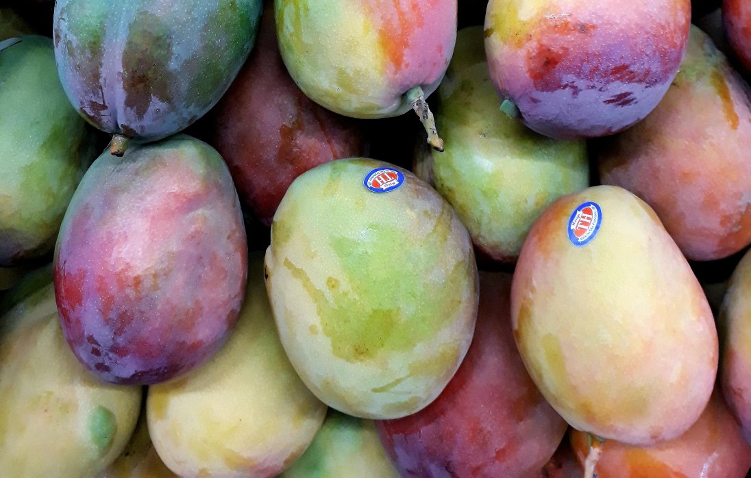 US fresh mango market recovering after supply shortages