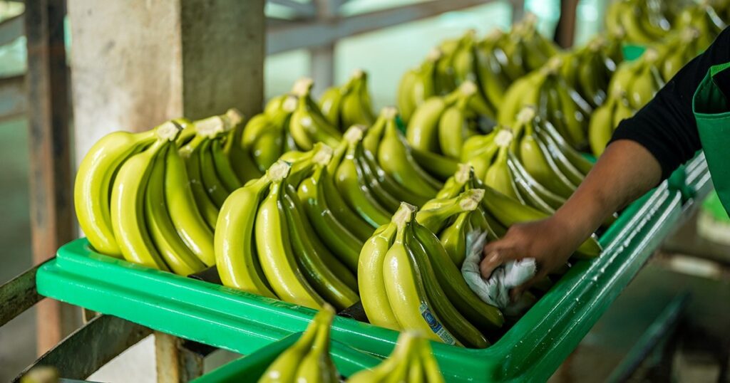 Port International expands Exclusive Partner Program in Peru