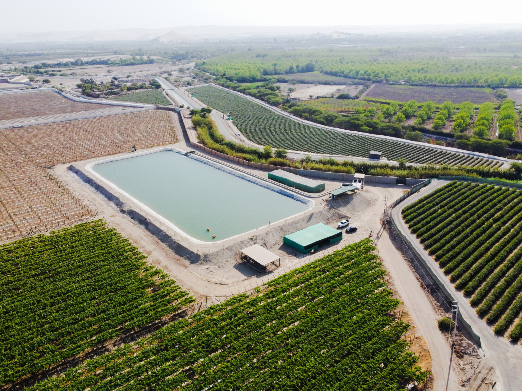 Frutura makes meaningful impact progress by baselining data company-wide