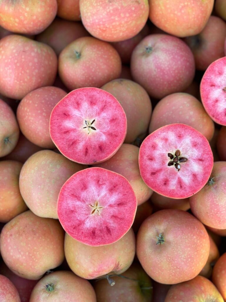Northern Hemisphere Kissabel® apples are back on the markets ...