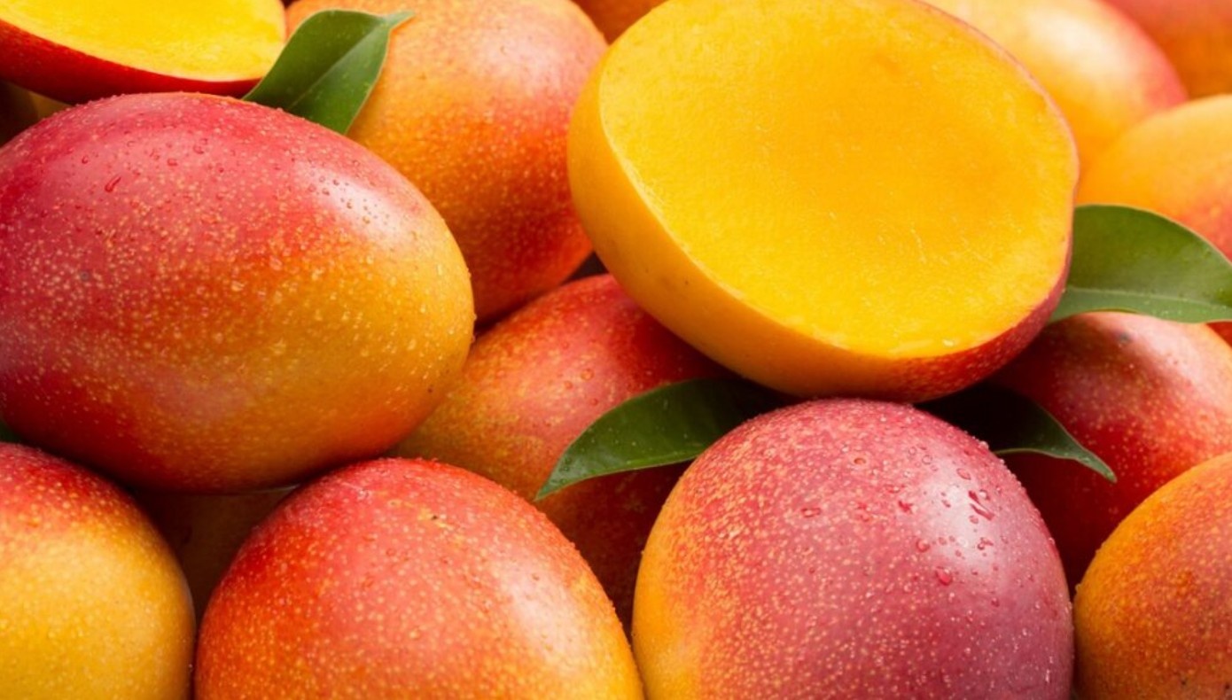 National Mango Board and its role in the United States market