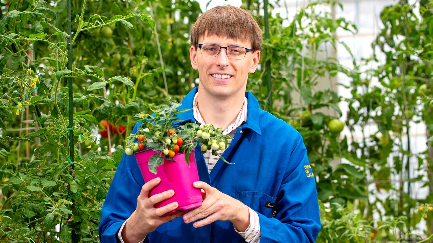 UC Riverside scientists could soon be growing tomatoes in space